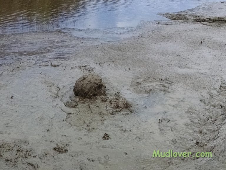 A Messy Weekend | The Swamp