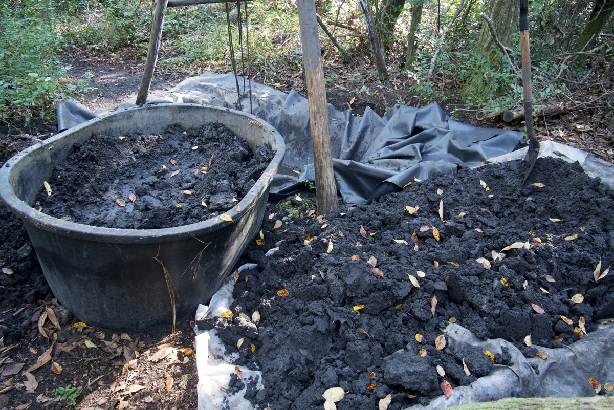 Mud Pit Revitalization | The Swamp