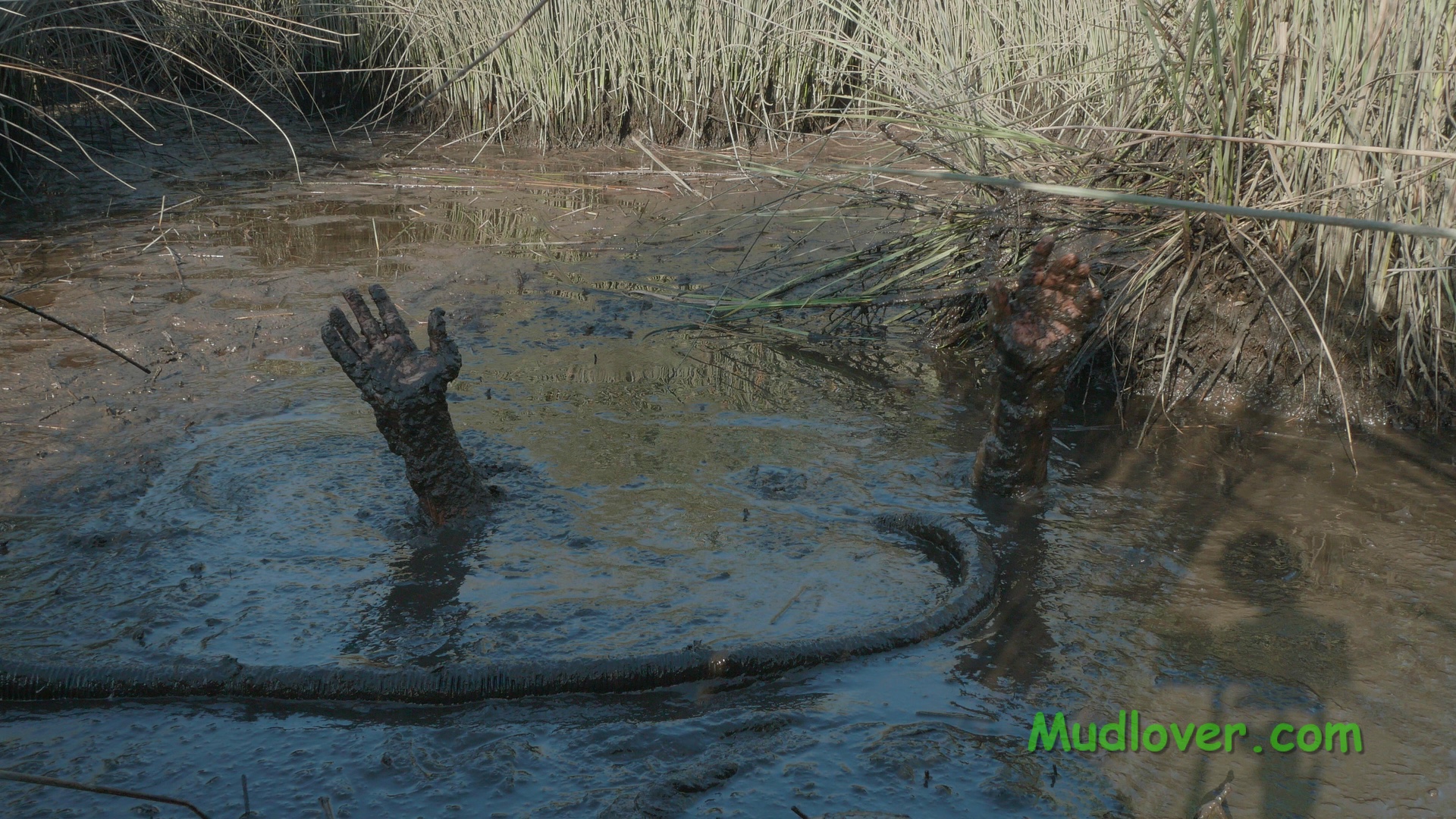 The Swamp | The messy adventures of John Marsh